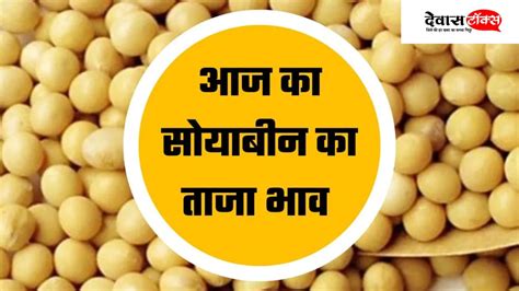 Soyabean Rate सोयाबीन के भाव में आया उछाल या रही मंदी देखे यहाँ ताजे रेट