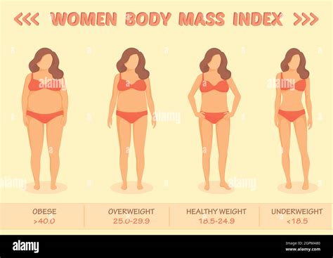 Body Mass Index Chart Hi Res Stock Photography And Images Alamy