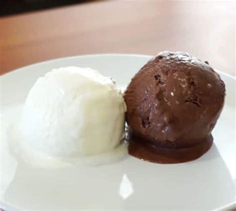 Instant 5 Minute Vanilla And Chocolate Ice Cream Recipe Diy Joy