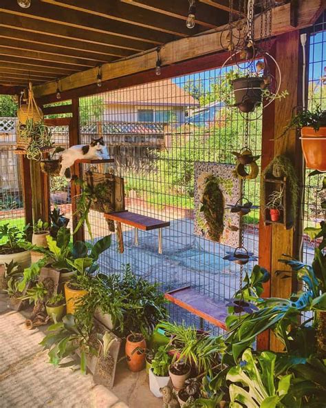 53 Amazing Catio Ideas For Your Purry Friend Cat Patio Outdoor Cat