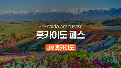 일본 홋카이도 자유여행 필수 교통 Jr 레일 패스 가격과 후기 가우리 여행