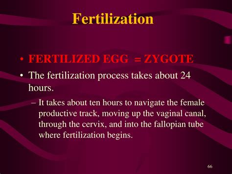 Ppt Sex Hormones Female Reproduction Male Reproduction Powerpoint