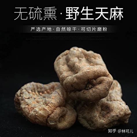 天然药膳 野生天麻 治偏头痛食谱 知乎