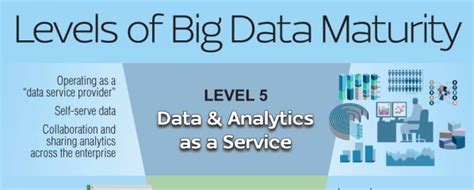Infographic The Levels Of Big Data Maturity Dataconomy