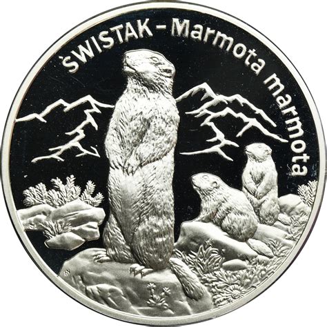 20 Złotych 2006 Świstak Aukcja Internetowa Licytacja Online Cena Onebid