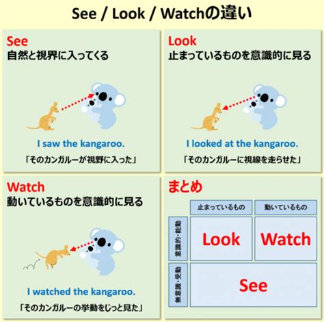「store」と「shop」の違いは？コアラが教える英単語の使い分け解説イラストがわかりやすい トゥギャッチ English Tips