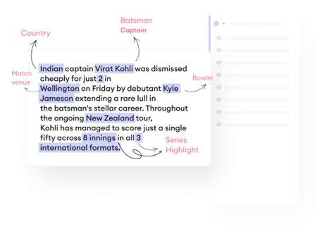 Text Annotation Superannotate