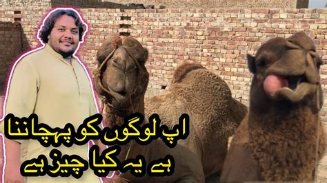 اپ لوگوں کو پہچاننا ہے یہ کیا چیز ہے Youtube