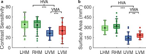 Group Level Polar Angle Asymmetries For Contrast Sensitivity And V1 Download Scientific Diagram