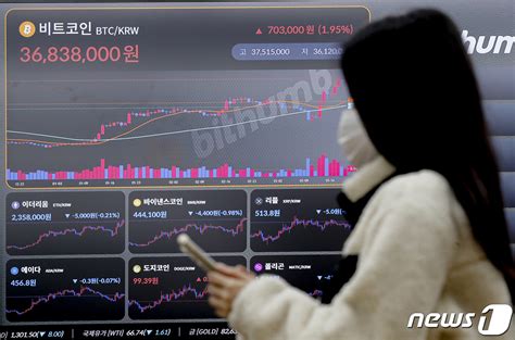 비트코인 상승세 지속 네이트 뉴스