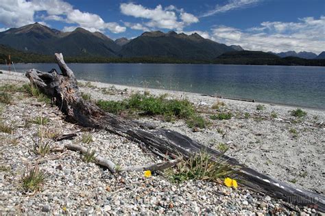 Summer By The Lake In New Zealand OC Scrolller