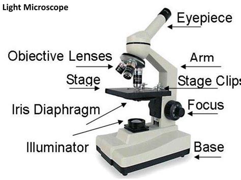 Unveiling The Secrets Exploring Microscope Lab Answers