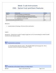 BIOS252 Lab Week 3 Docx Week 3 Lab Instructions CNS Spinal Cord