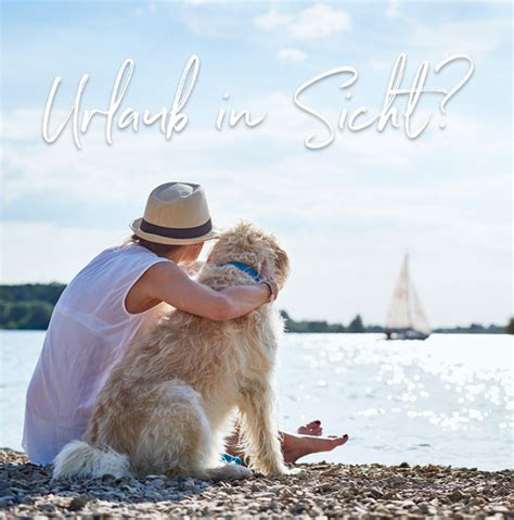 Entspannt In Den Urlaub Mit Hund So Gelingt Es