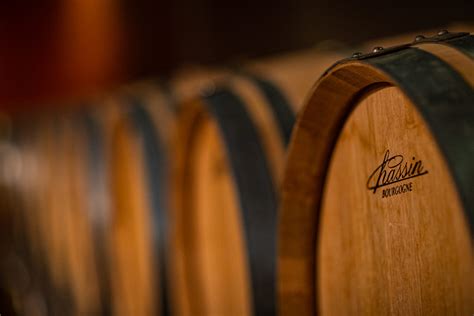 Fermentation Of Wine Explained Vindome Blog