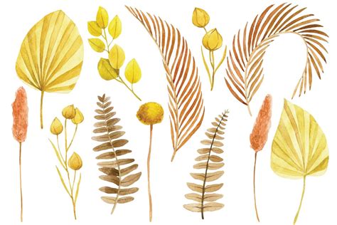 Dessin à Laquarelle Ensemble De Feuilles Tropicales Sèches Dans Un