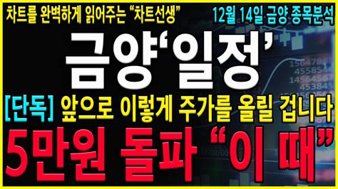 금양 주가 전망 긴급 와기장공장 건설재개 5만원 돌파 시나리오 떴다 12월 붕기둥폭발 합니다이거 일정만 뜨면 추가상승 더 나온다 금양 금양주가전망