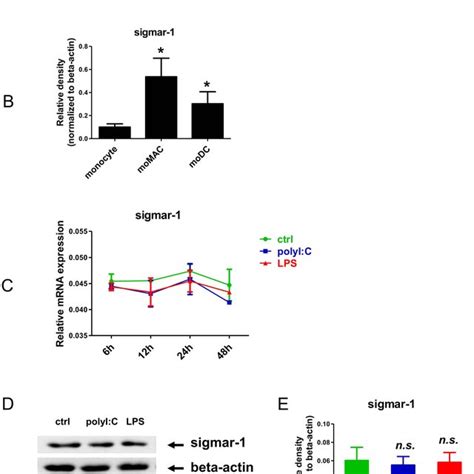 Nn Dmt And 5 Meo Dmt Pre Treatment Of Pathogen Activated Human