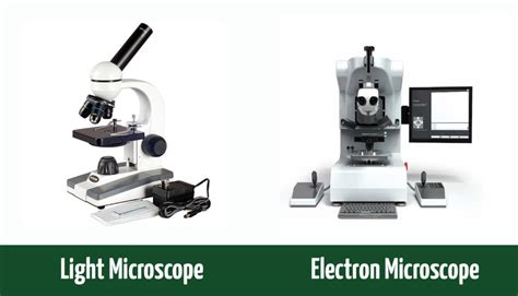 How Are Compound Light Microscopes And Transmission Electron Similar