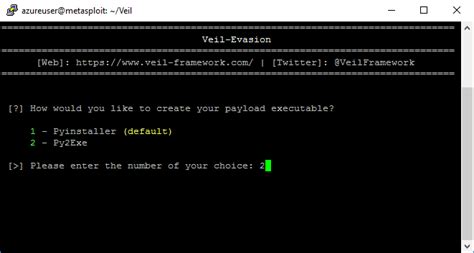 advanced infrastructure penetration testing