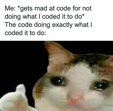 Memes For Programmers 23 Pics Memes For Programmers 23 Pics