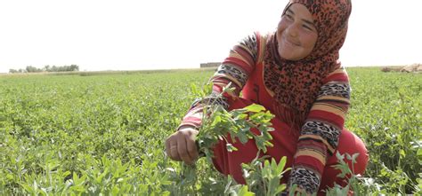 GAYA Small Grants Program Enterprise Bureau