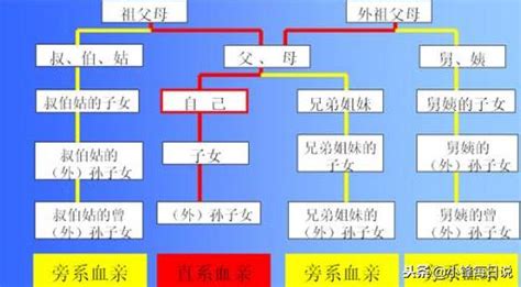 中國早已禁止近親結婚，日本為何仍盛行兄妹結婚，答案難以啟齒！ 每日頭條