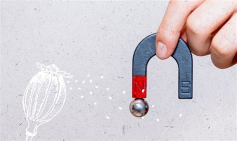 Werkvorm Magneetjes