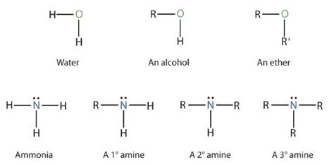 71 Amines Structures And Names Chemistry Libretexts