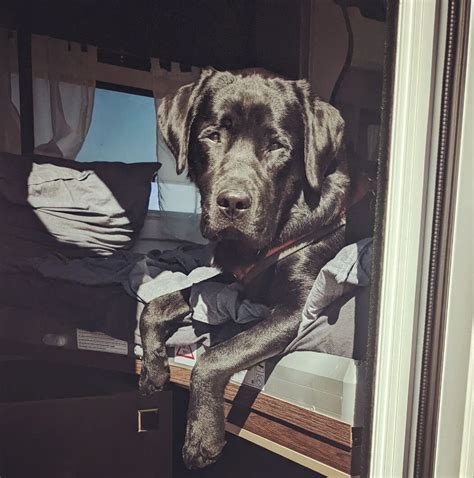 Caravanning Caravaning Benimar Ocarsa