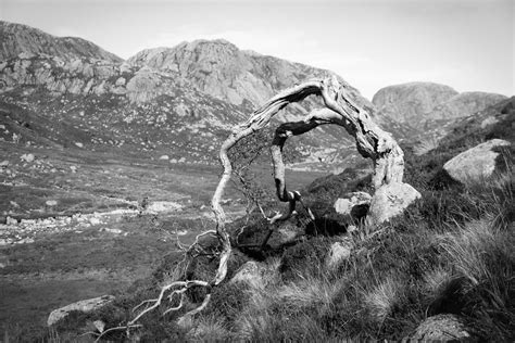 Not Bending Raphs Flickr