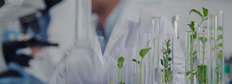 45稻散·毒死蜱乳油 江苏腾龙生物药业有限公司