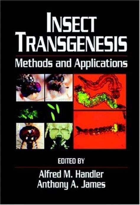 Insect Transgenesis Methods And Applications Nhbs Academic And Professional Books