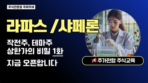 샤페론 주가전망 작전주 라파스와 샤페론 상한가의 비밀 오픈합니다 주식투자자라면 무조건 봐야할 영상 작전주 패턴 주식교육 Youtube