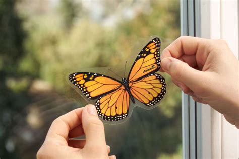 So schützt man sich vor Insekten im Haus MAINLIKE