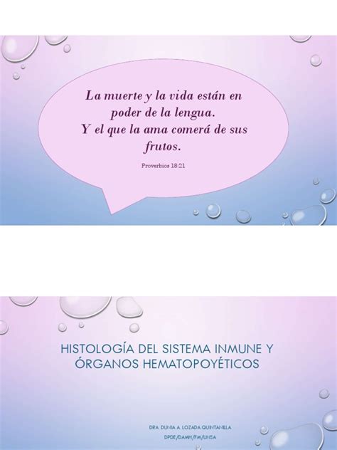 Histología Del Sistema Inmune Y Órganos Hematopoyéticos Pdf