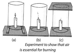 CLASS 8TH CHAPTER 6 COMBUSTION AND FLAME NCERT SOLUTIONS EduGrown School