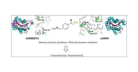 Ronald Tully On Linkedin Theoretical Analysis Of Selectivity Differences In Ketoreductases Toward…