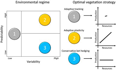 Hypotheses For How Different Life‐history Strategies Should Influence Download Scientific
