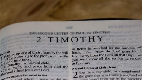 2 Timothy Bible Study Guide