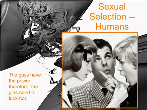 Sexual Selection Ppt