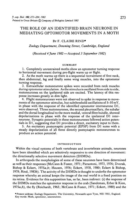 Pdf The Role Of An Identified Brain Neurone In Mediating Optomotor Movements In A Moth