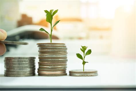 Hedge Funds Vs Mutual Funds Decoding The Differences