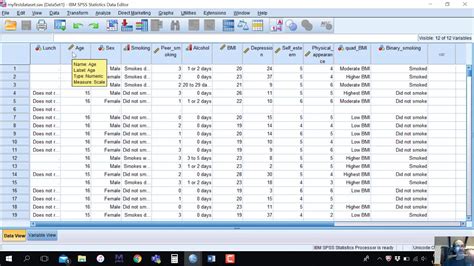 About Spss Data Entry Youtube