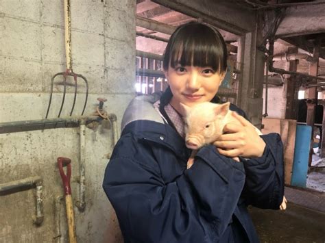 朝ドラ【なつぞら】なつの妹千遥役は清原果耶！『あさが来た』にも出演！演技力がすごい！