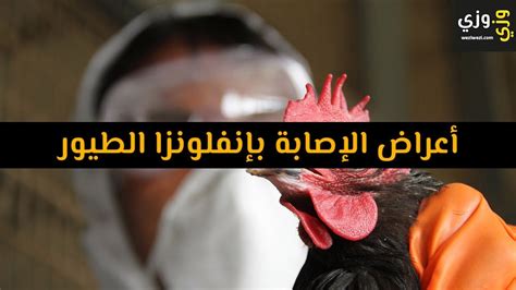 أهم أعراض إنفلونزا الطيور Youtube