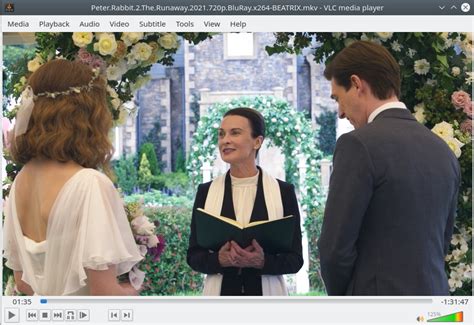 Any Way To Crop Videos · Issue 172 · Smplayer Devsmplayer · Github