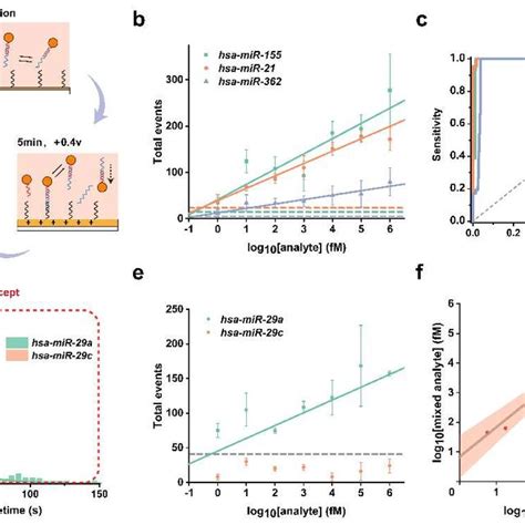 Rapid Mirna Testing Assay A The Workflow Of 15 Minute Mirna Assay