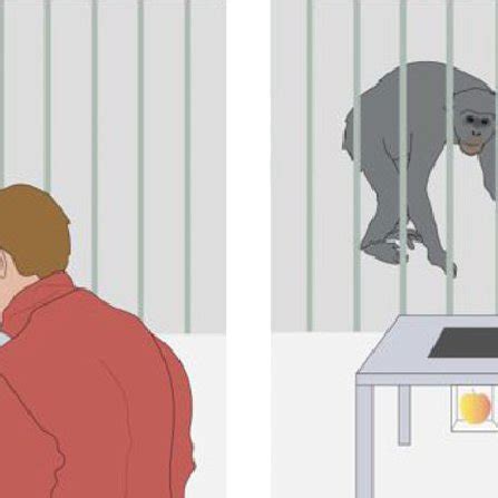 A Schematic Drawing Of The Experimental Set Up In Experiment Download Scientific Diagram