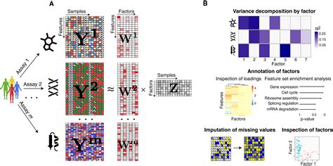 Multi‐omics Factor Analysis—a Framework For Unsupervised Integration Of